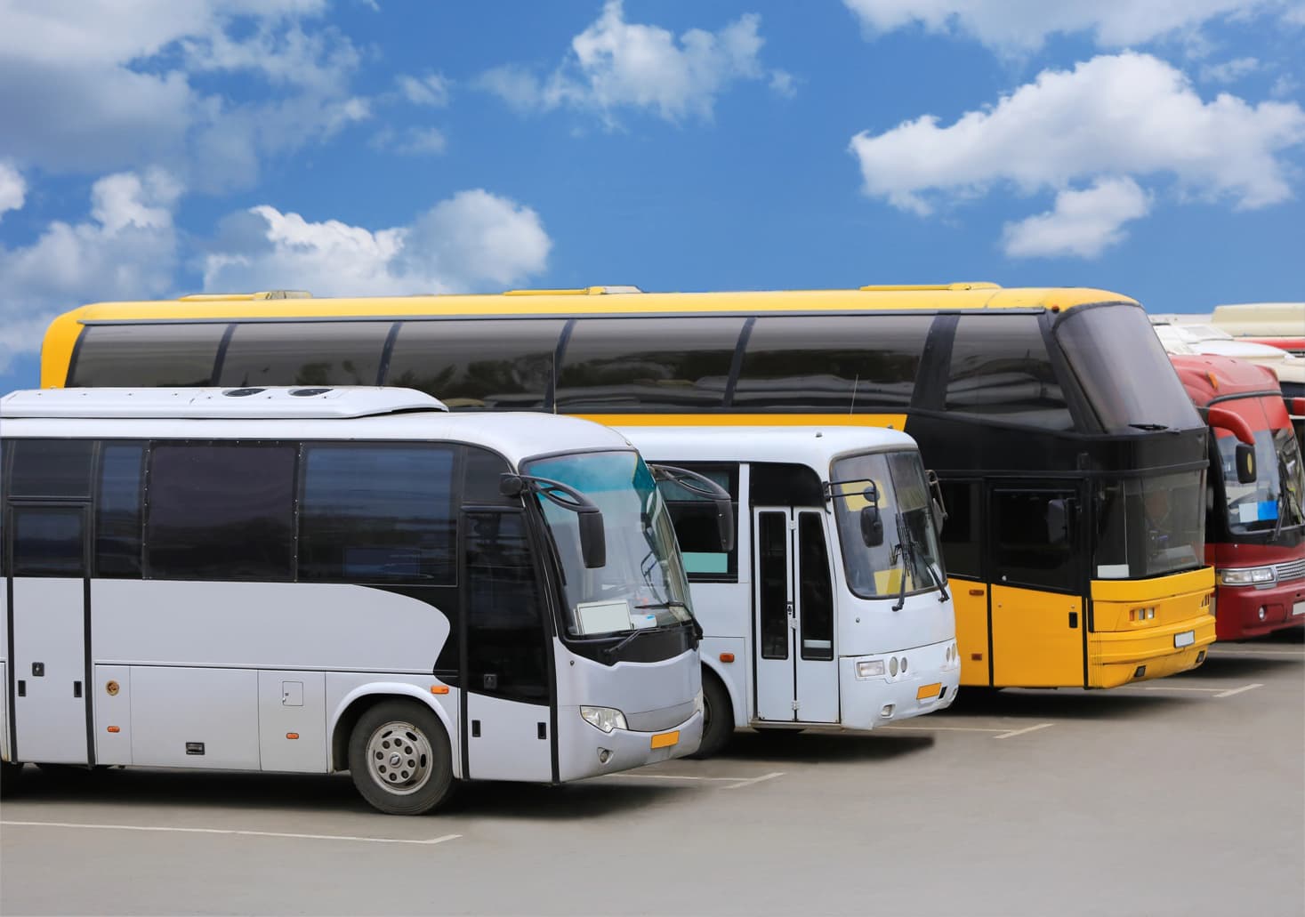 All About Buses in America - L-T@HOE_TRANS_IT